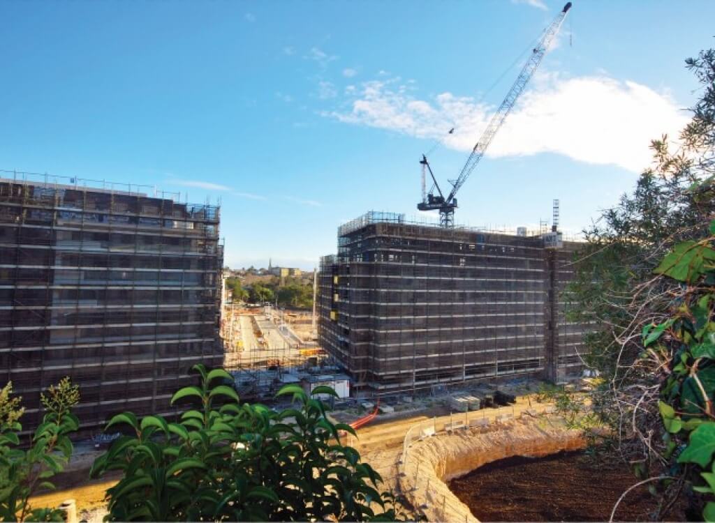 Issue 81 | Harris Partners