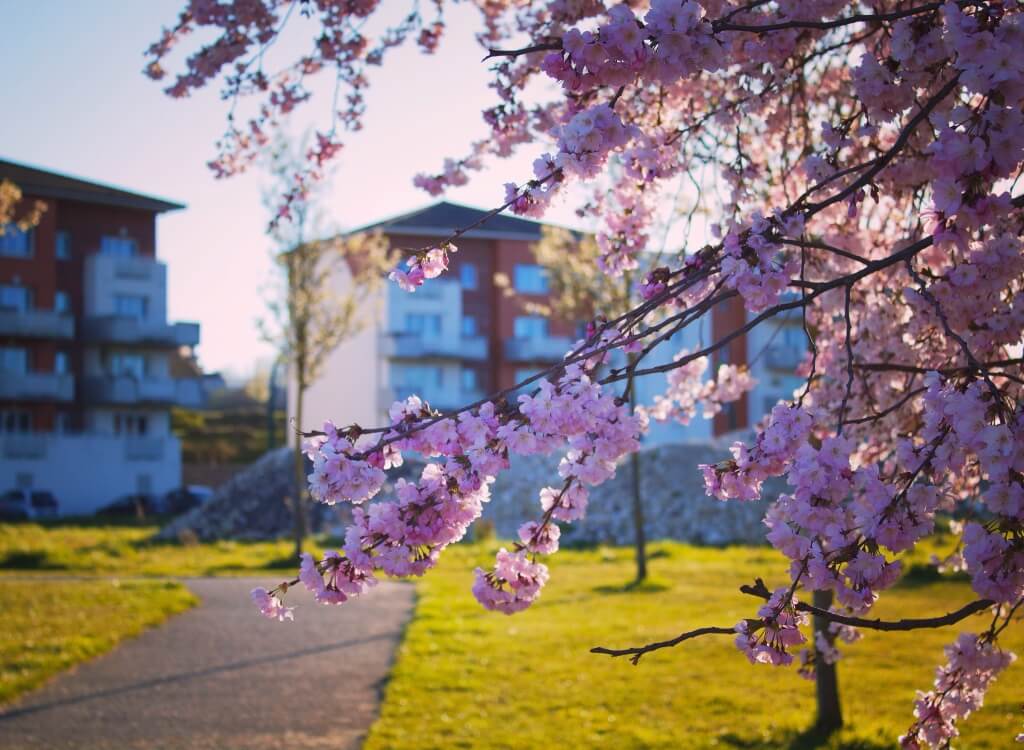 Issue 142 | Harris Partners